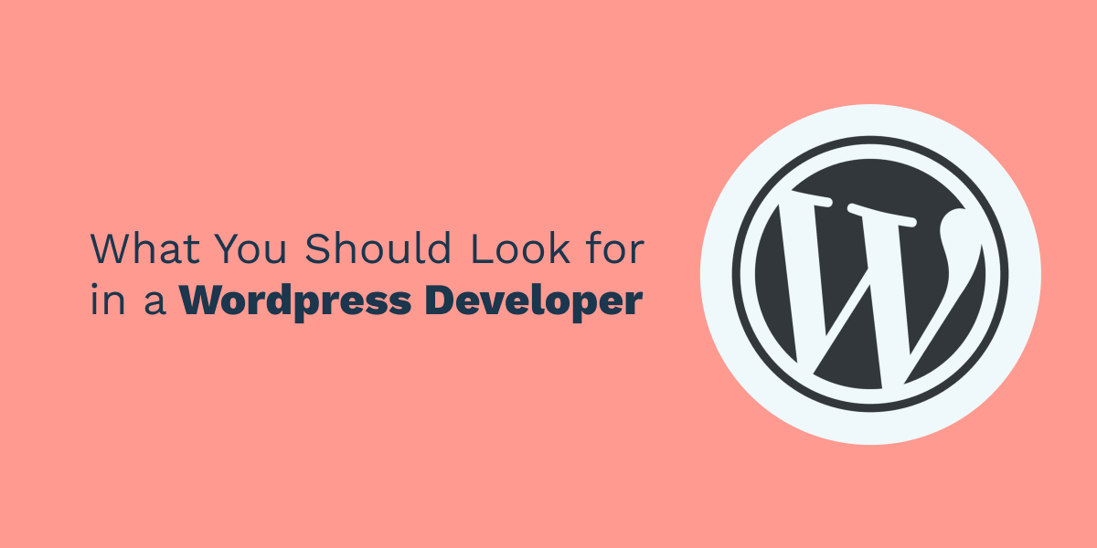 Technical and Soft Skills to Look for in a WordPress Developer